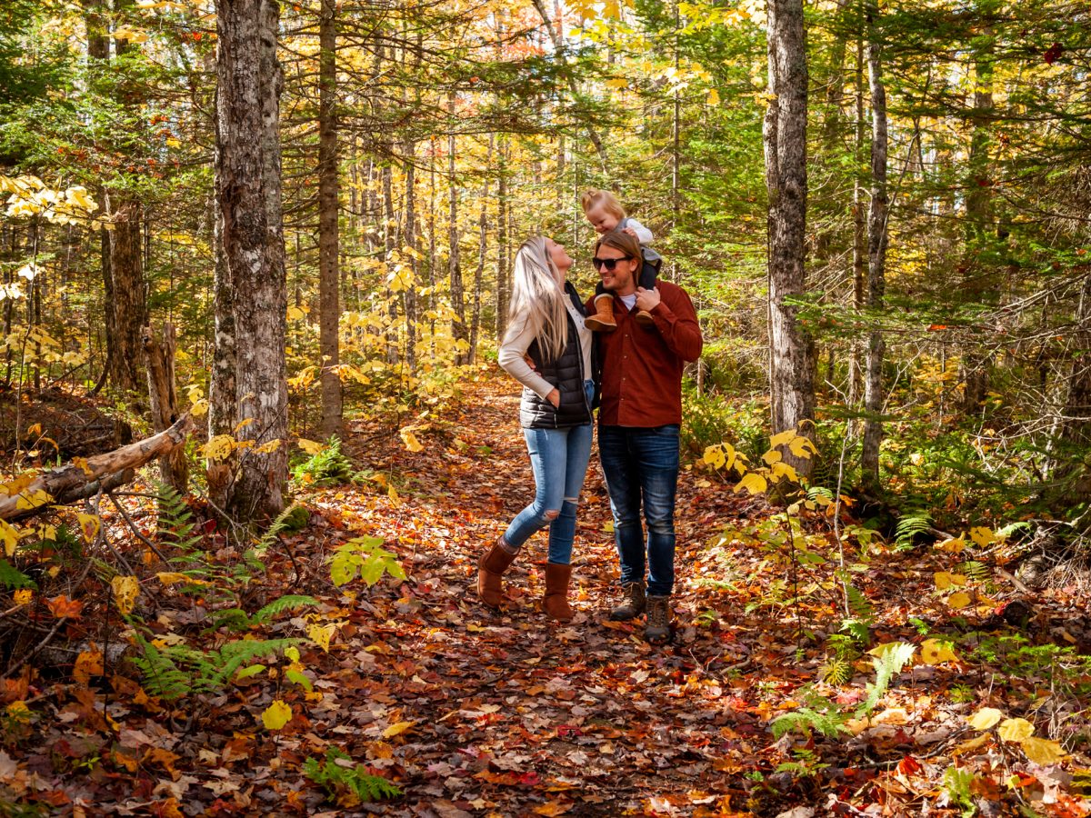 Visit Treetop Haven PEI | Nature and Wellness Destination