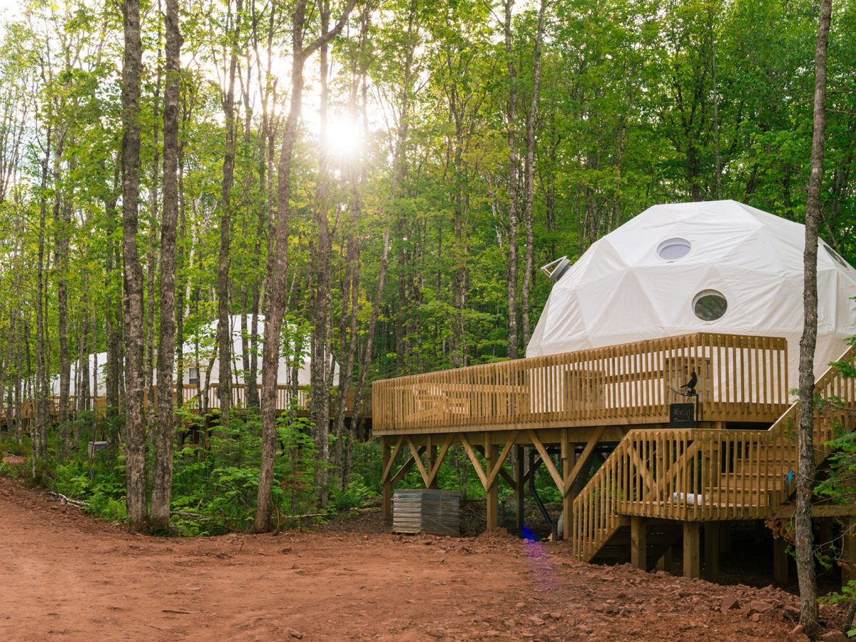 Visit Treetop Haven PEI | Nature and Wellness Destination